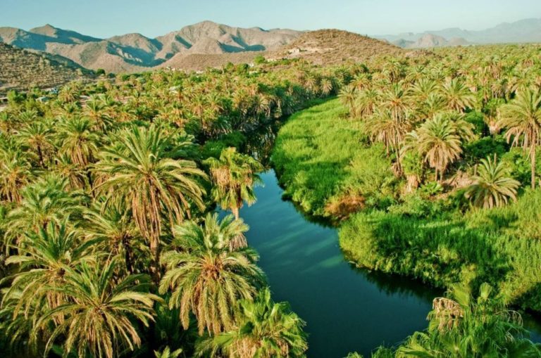 10 Beautiful Oasis Photos From Around The World