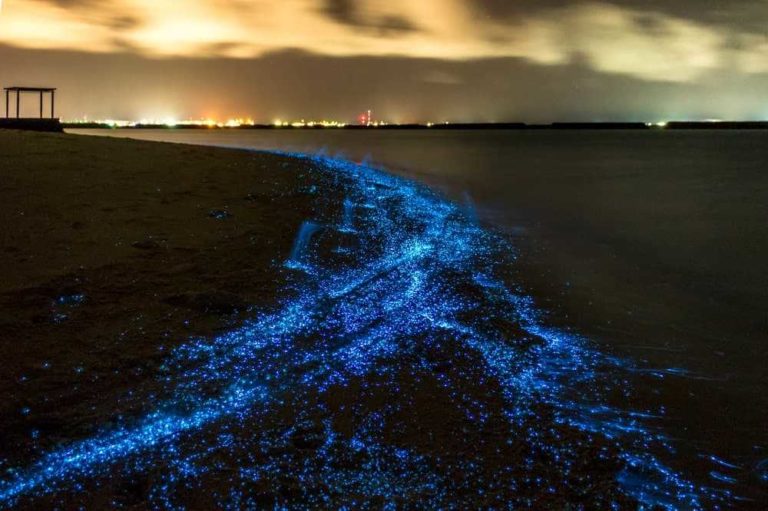 15 Types of Beaches (#8 Is Super Beautiful)