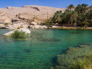 10 Beautiful Oasis Photos From Around The World