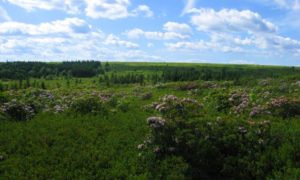 28 Types Of Terrain » Nature Tingz