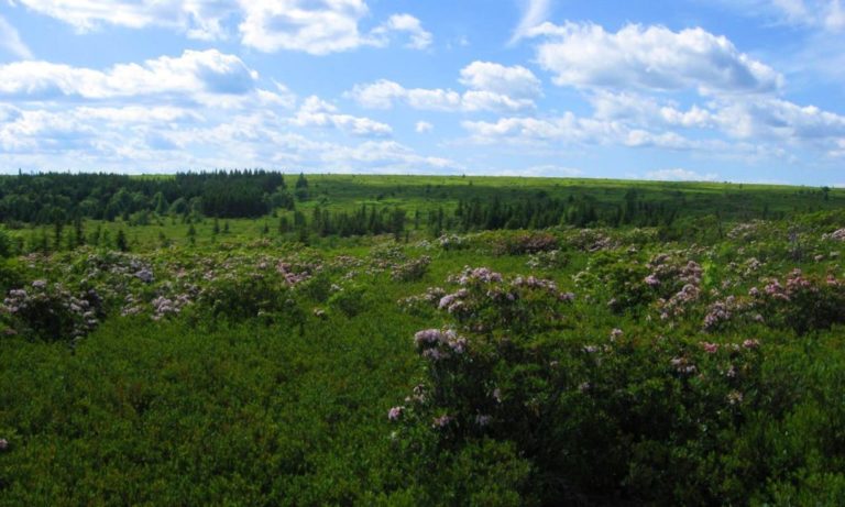 28 Types Of Terrain » Nature Tingz