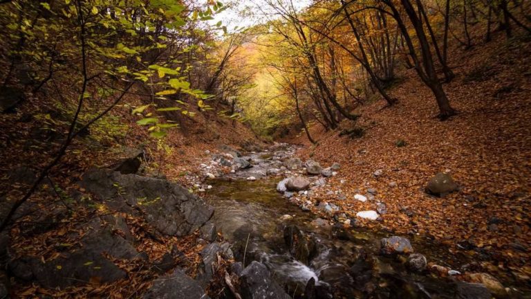 8 Main Types Of Streams